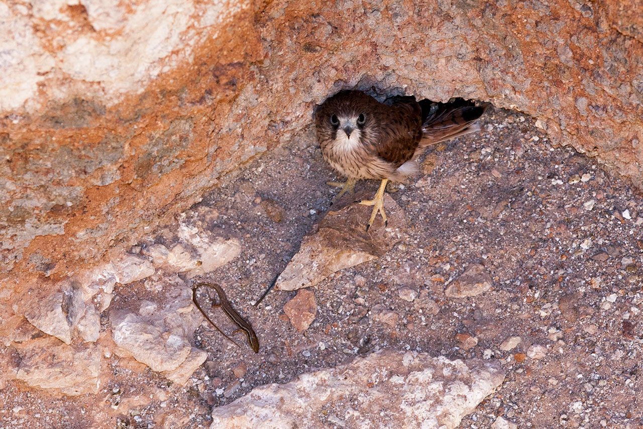 About the Maralinga Tour | Maralinga Tours